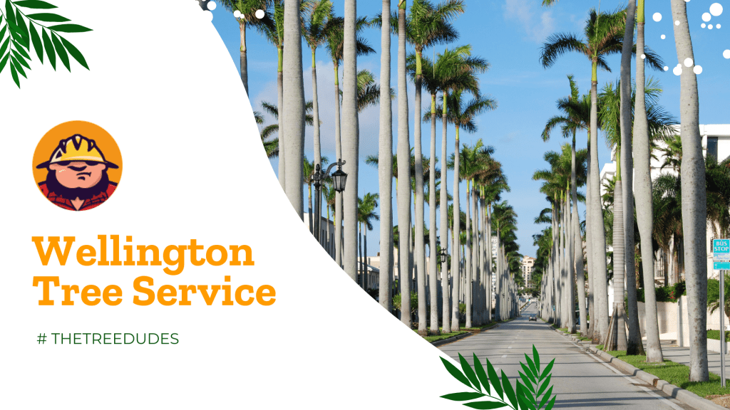 Topiary Tree Shaping And Everything You Should Know About It