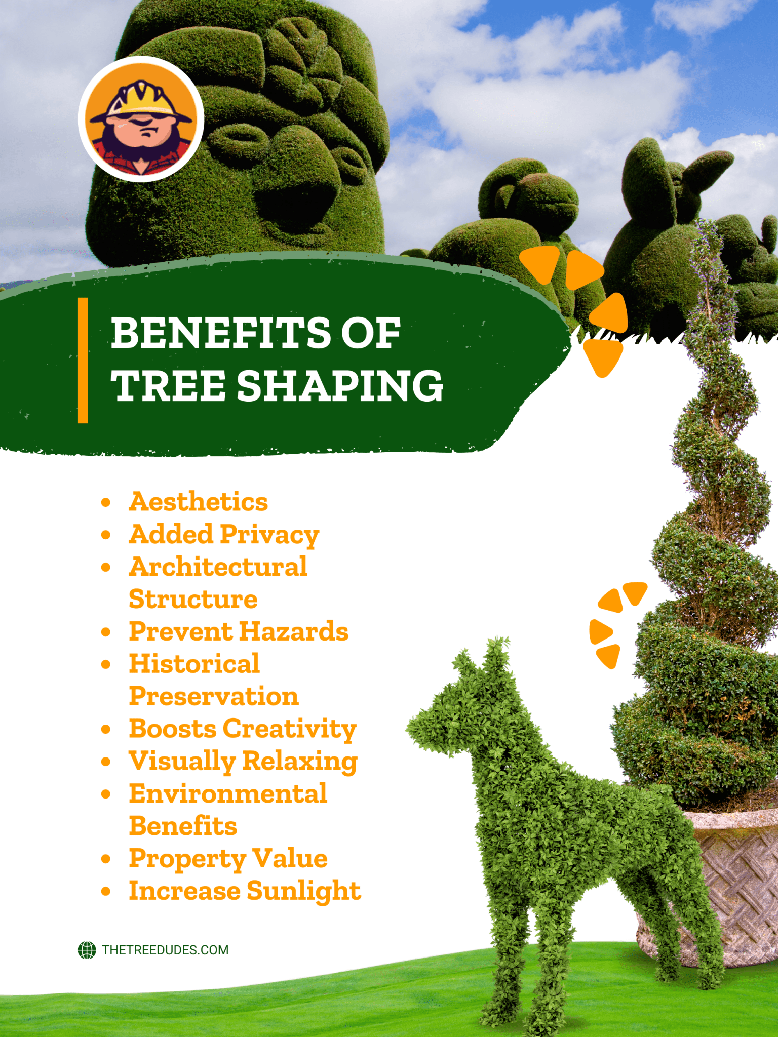 Topiary Tree Shaping And Everything You Should Know About It